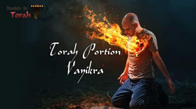 Torah Cycle Archives - Faith of Messiah