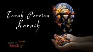 Torah Cycle Archives - Faith of Messiah